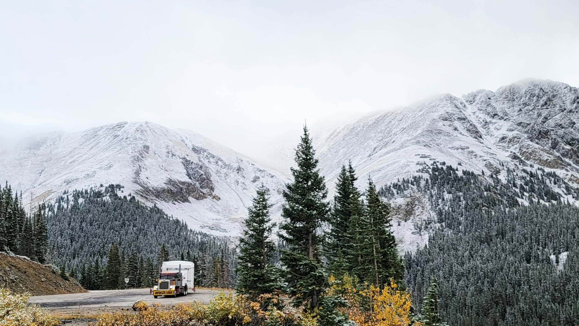 Park Model Insurance: Companies, Cost, And Other Information